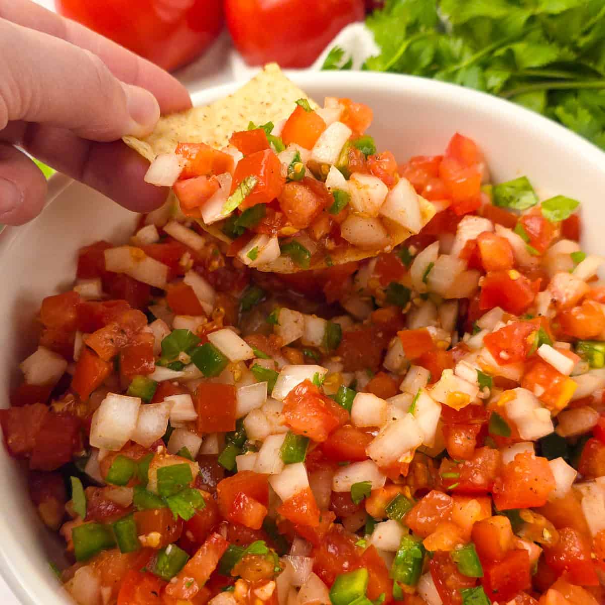 Pico De Gallo: Fresh and Flavorful Salsa Recipe - Simply Scratch Made