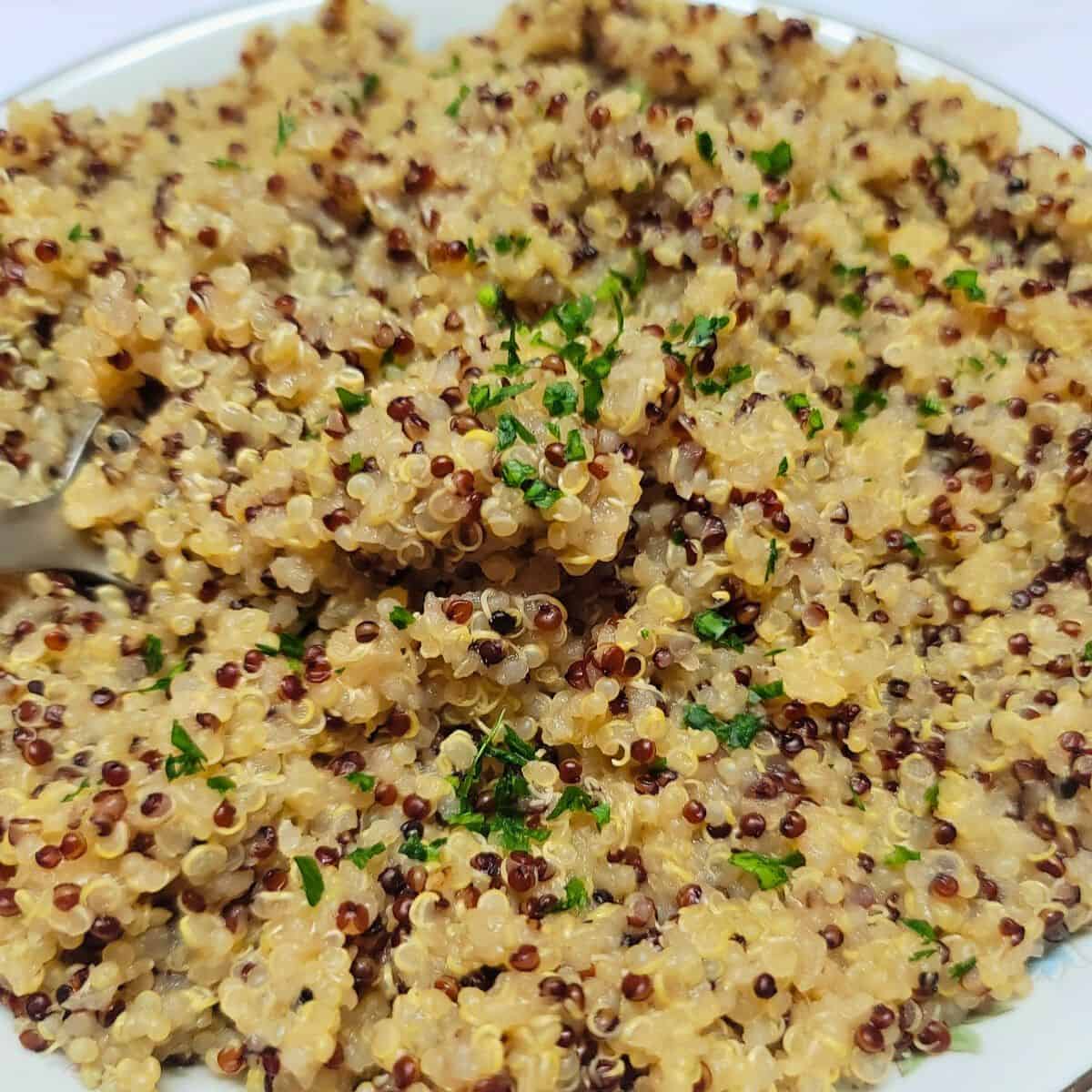 How to Cook Quinoa - Simply Scratch Made