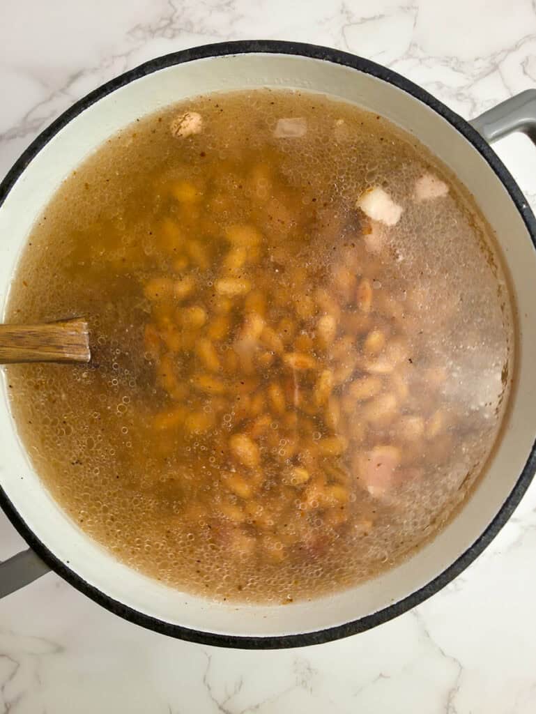Southern Pinto Beans - Simply Scratch Made