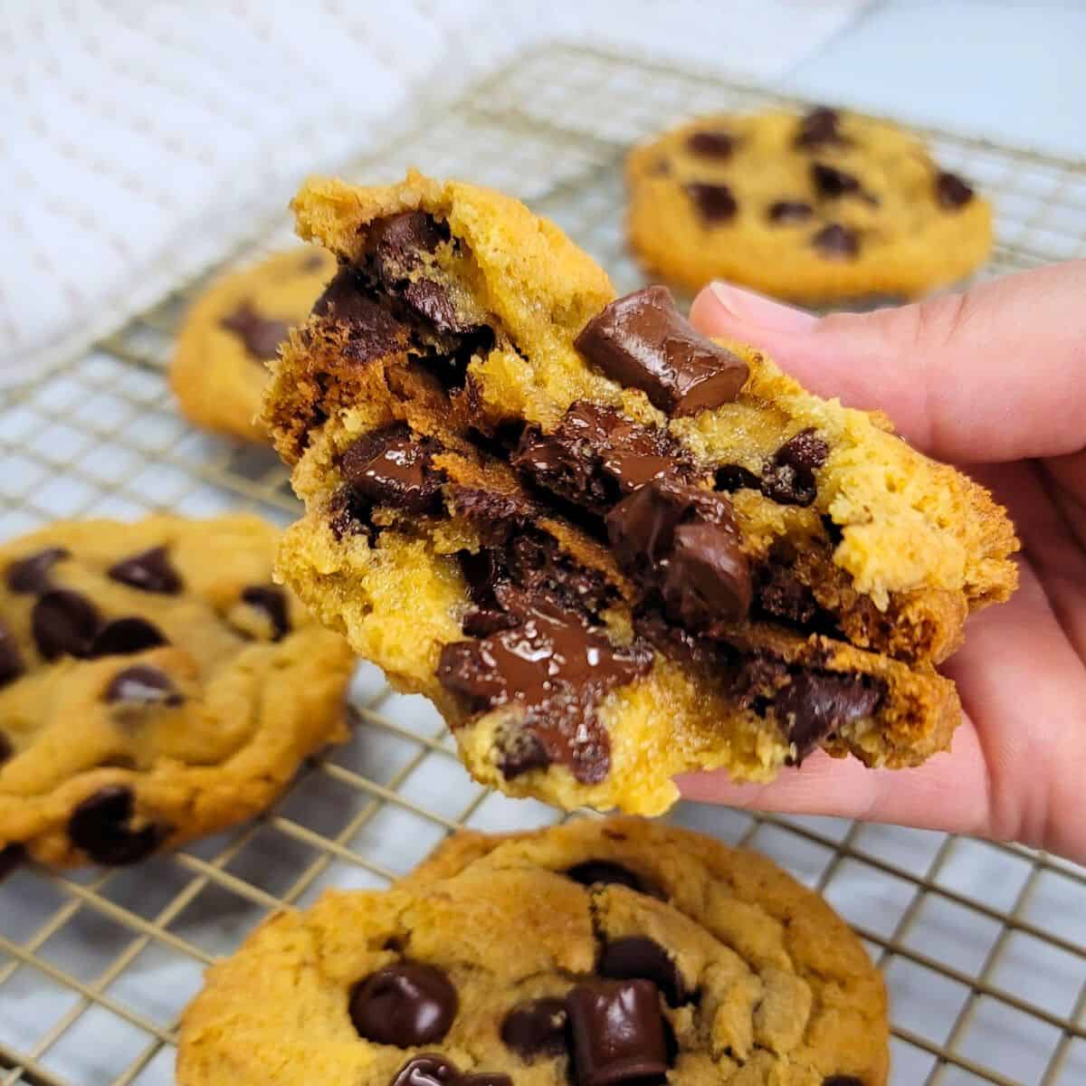Bakery Style Chocolate Chip Cookies - Simply Scratch Made
