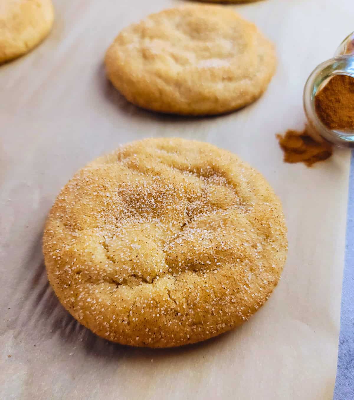 The Best Snickerdoodle Recipe - Simply Scratch Made